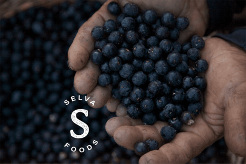 Buy Organic Frozen Açaí Fruit Pulp Puree in Singapore