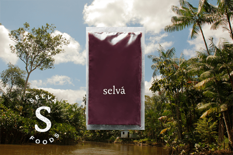 Buy Organic Frozen Açaí Fruit Pulp Puree in Singapore